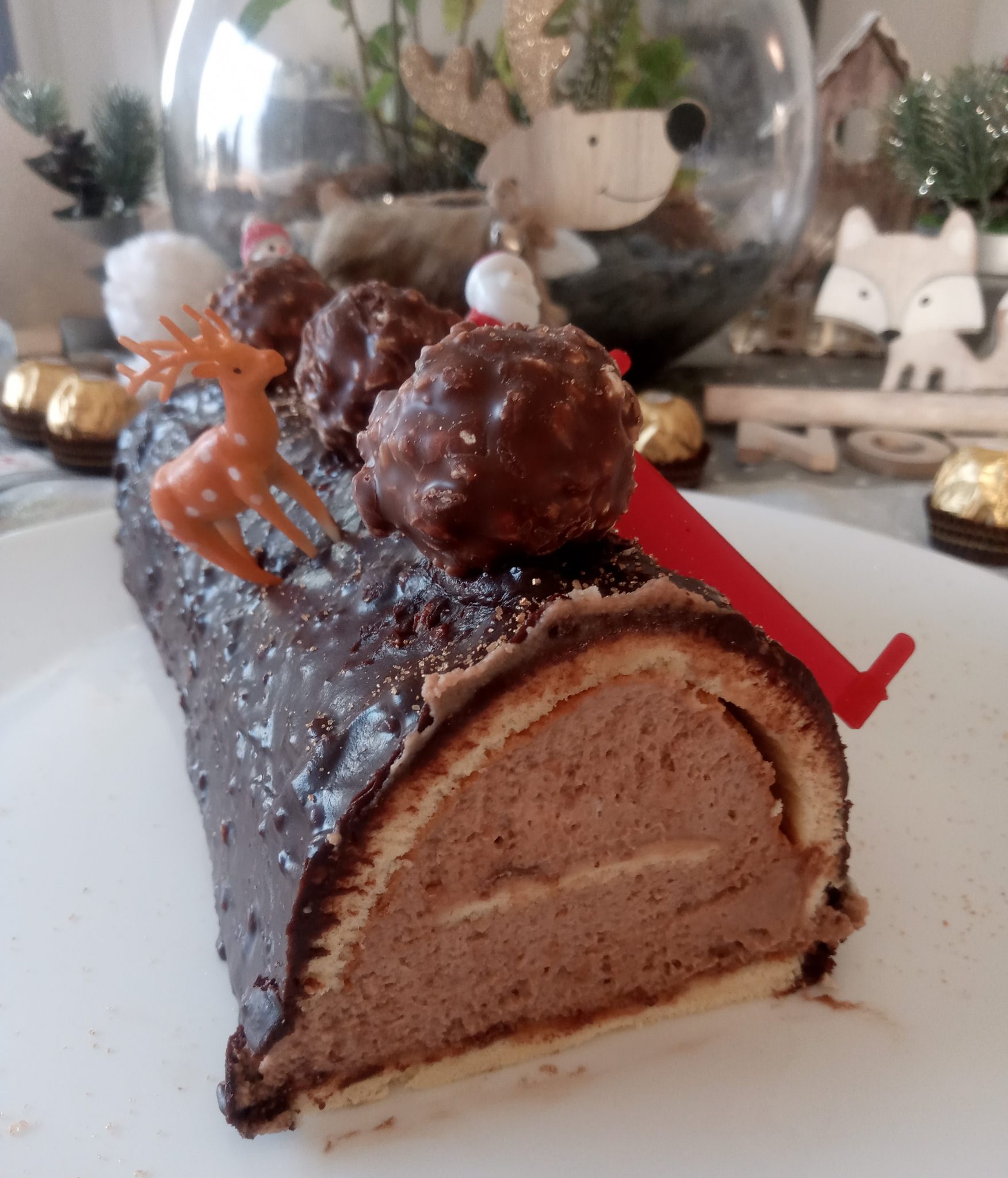 Buche Thermomix Rapidenull